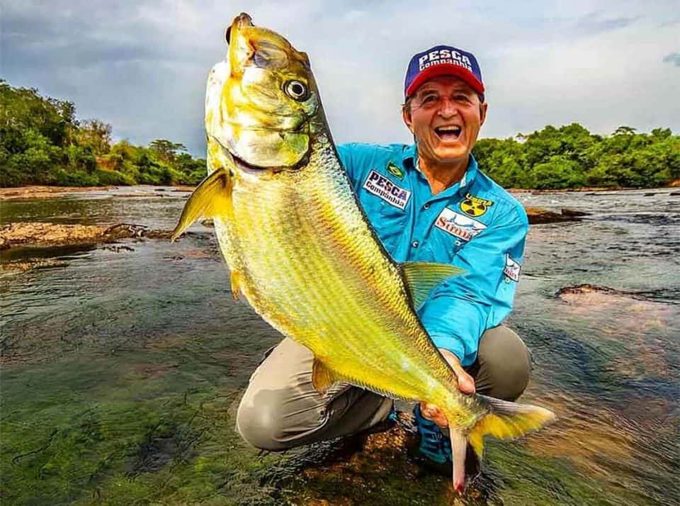 Peixe Apapá: característica, alimentação e sua reprodução