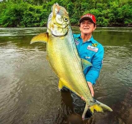 Peixe Apapá: característica, alimentação e sua reprodução