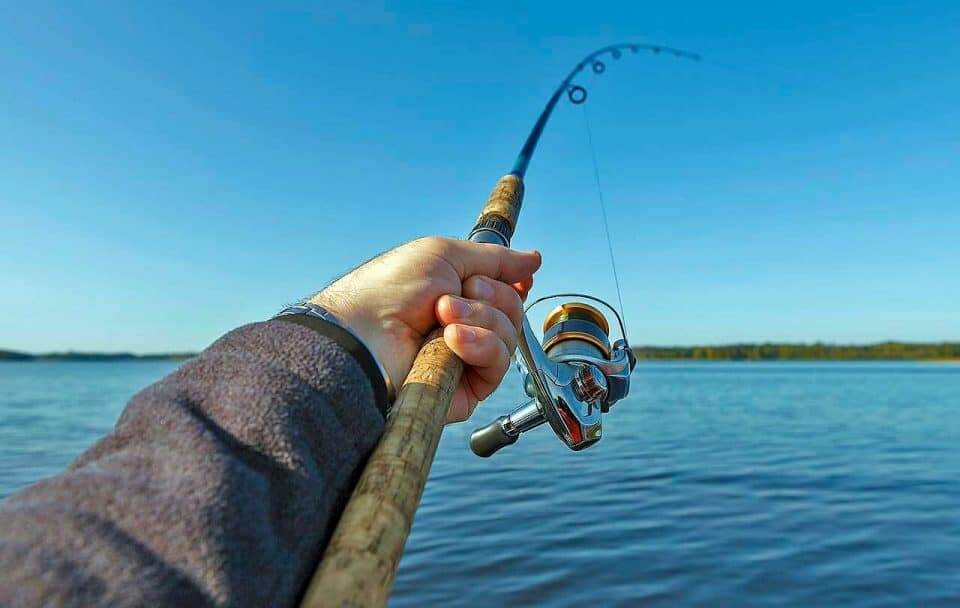 Como comprar uma vara de pesca? O que você precisa saber