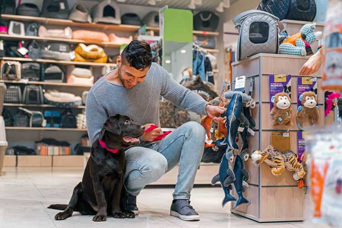 Pet shop: como montar, o que se vende, produtos e serviços